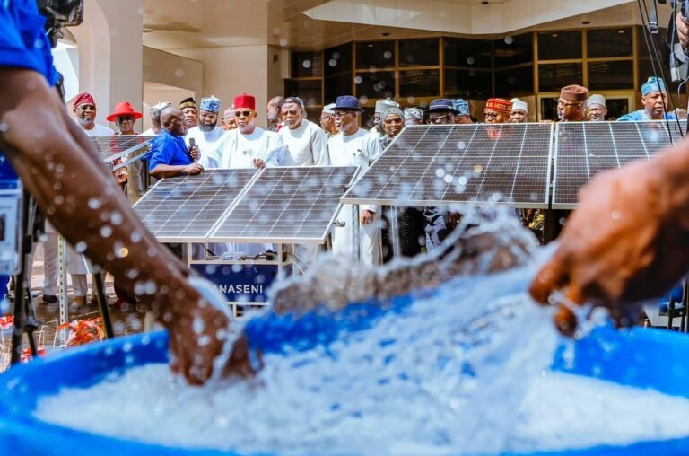 The NASENI Revolution: How Solar Pumps Are Rewriting the Future of ...